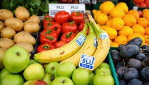 Cracking the Code: Your Easy Food Label Guide for Spotting Organic ...